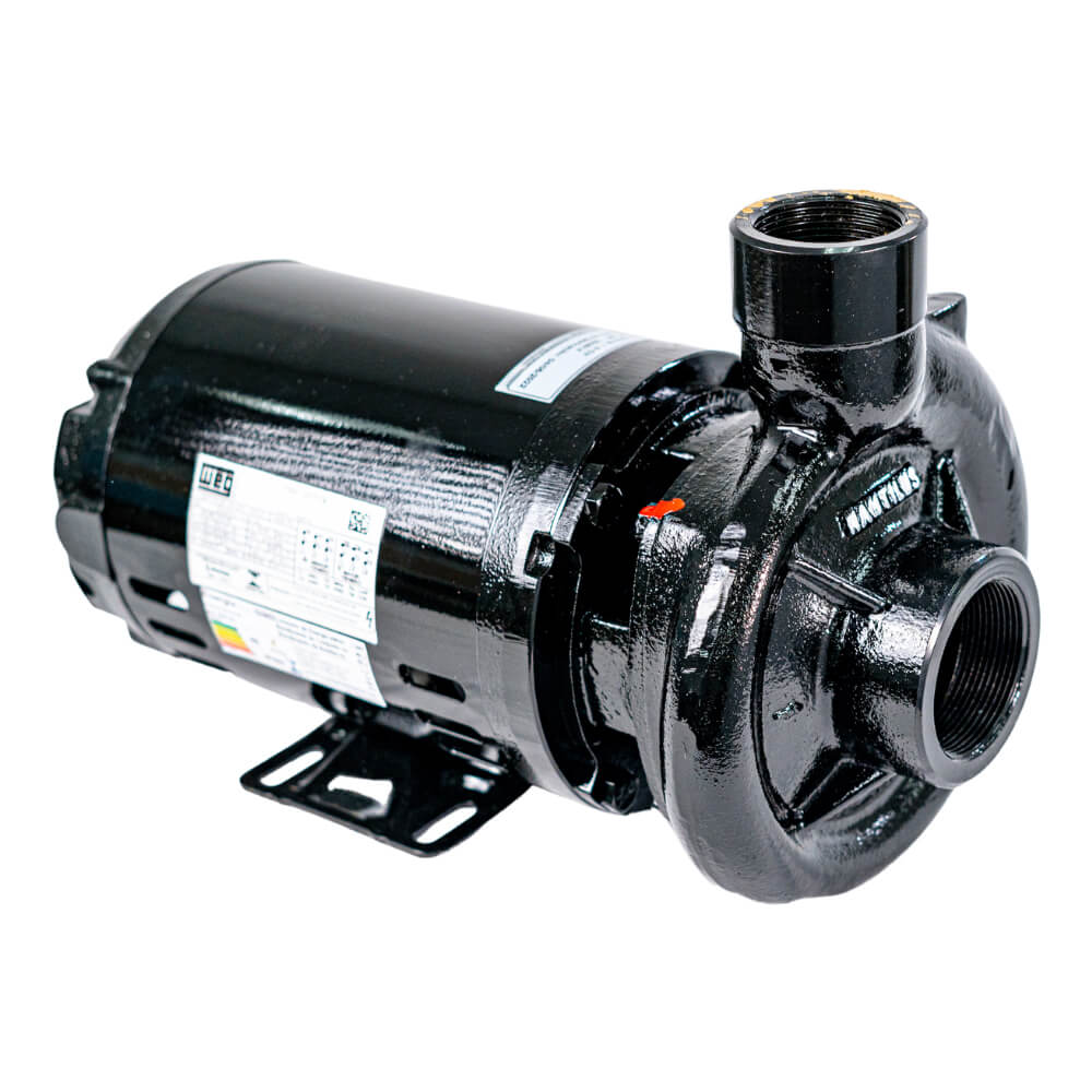 Motobomba NBFC-1 1/3CV 110/220V monofásica WMP - Nautilus